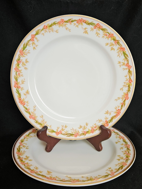 Haviland | Dining | Haviland White Dinner Plates With Coral Floral And ...